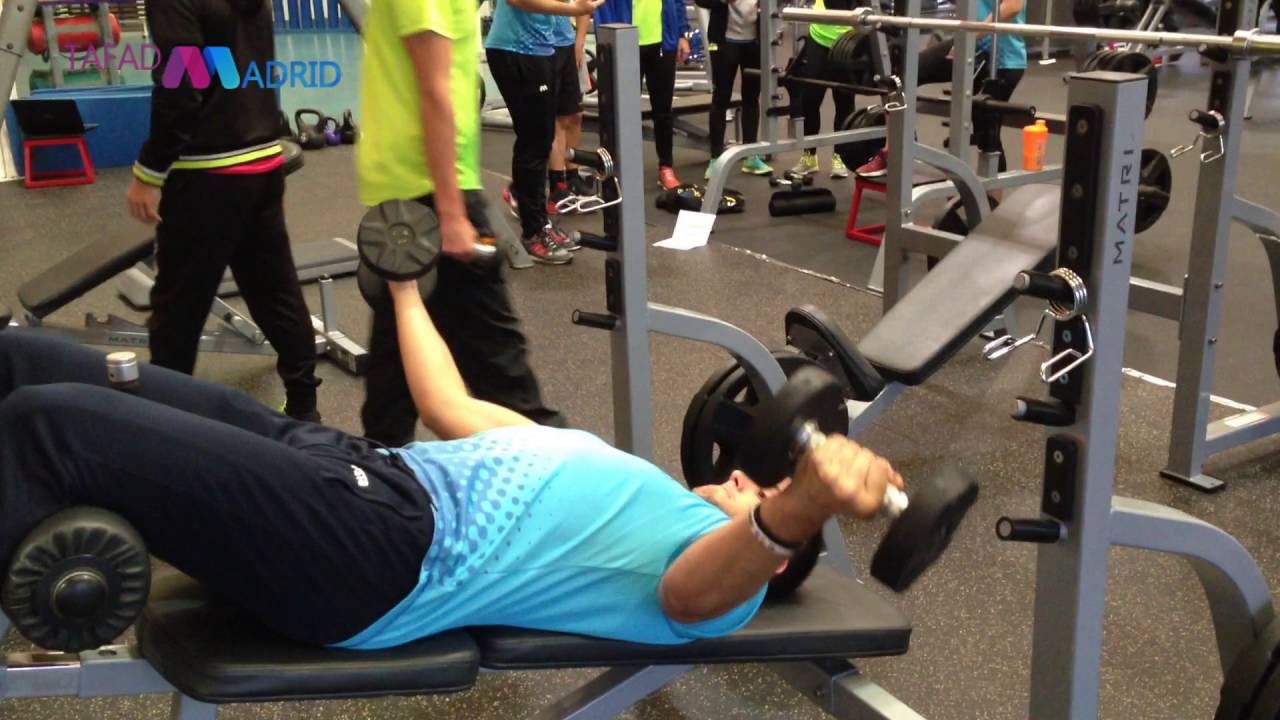 P319 Aperturas con mancuernas en banco declinado agarre supino (Pecho ...
