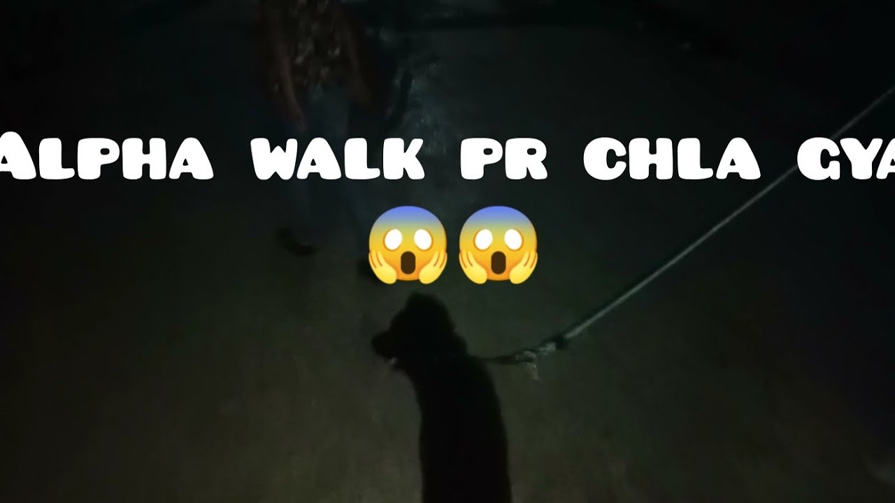 alpha walk pr chla gya 😰😰 - YouTube
