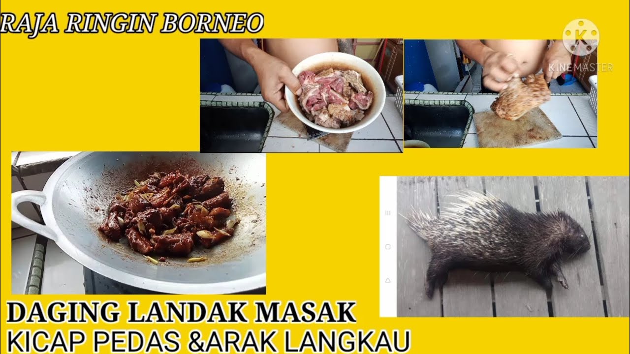 CARA MEMASAK DAGING LANDAK - YouTube