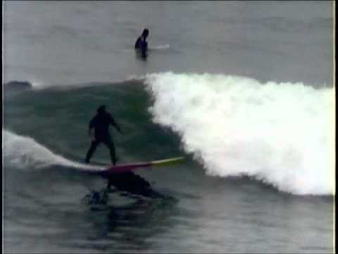 Longboard Surfing: Dale Dobson at Swamis - YouTube