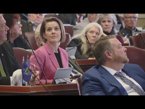 Lawyer for GOP state Rep. Libby asks federal judge to let her vote - YouTube