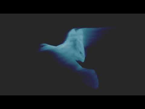 Eli & Fur - Insomnia (Official Visualiser)
