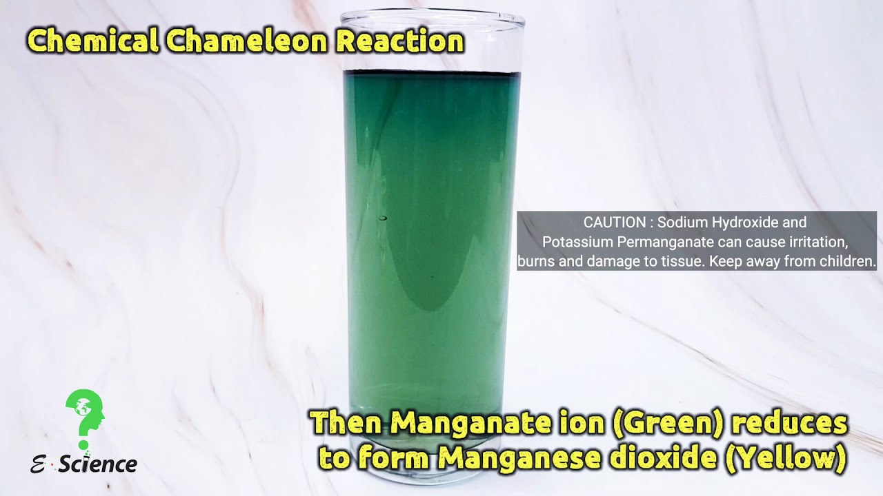Chameleon Reaction - YouTube