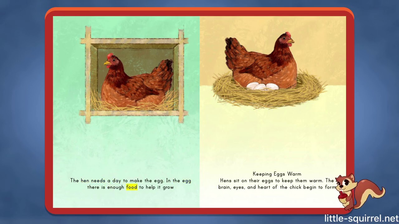 A Chicken's Life Cycle: Level H - Interactive Stories for Kids - YouTube