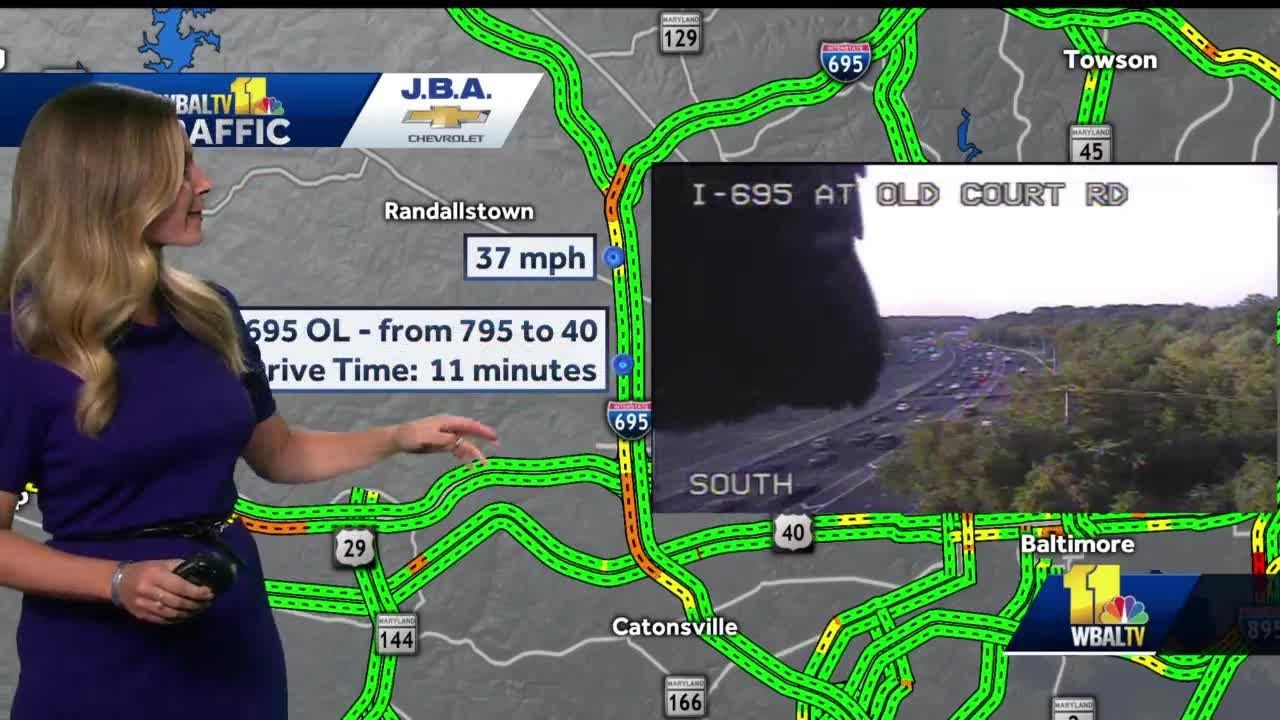 Bird invades traffic camera during live report - YouTube