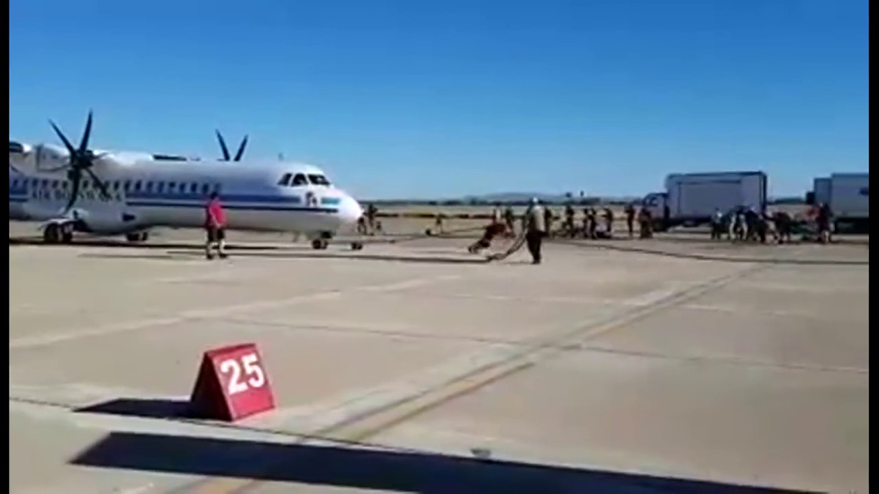 Mateusz Kieliszkowski Plane Pull // Finals WSM 2017 - YouTube