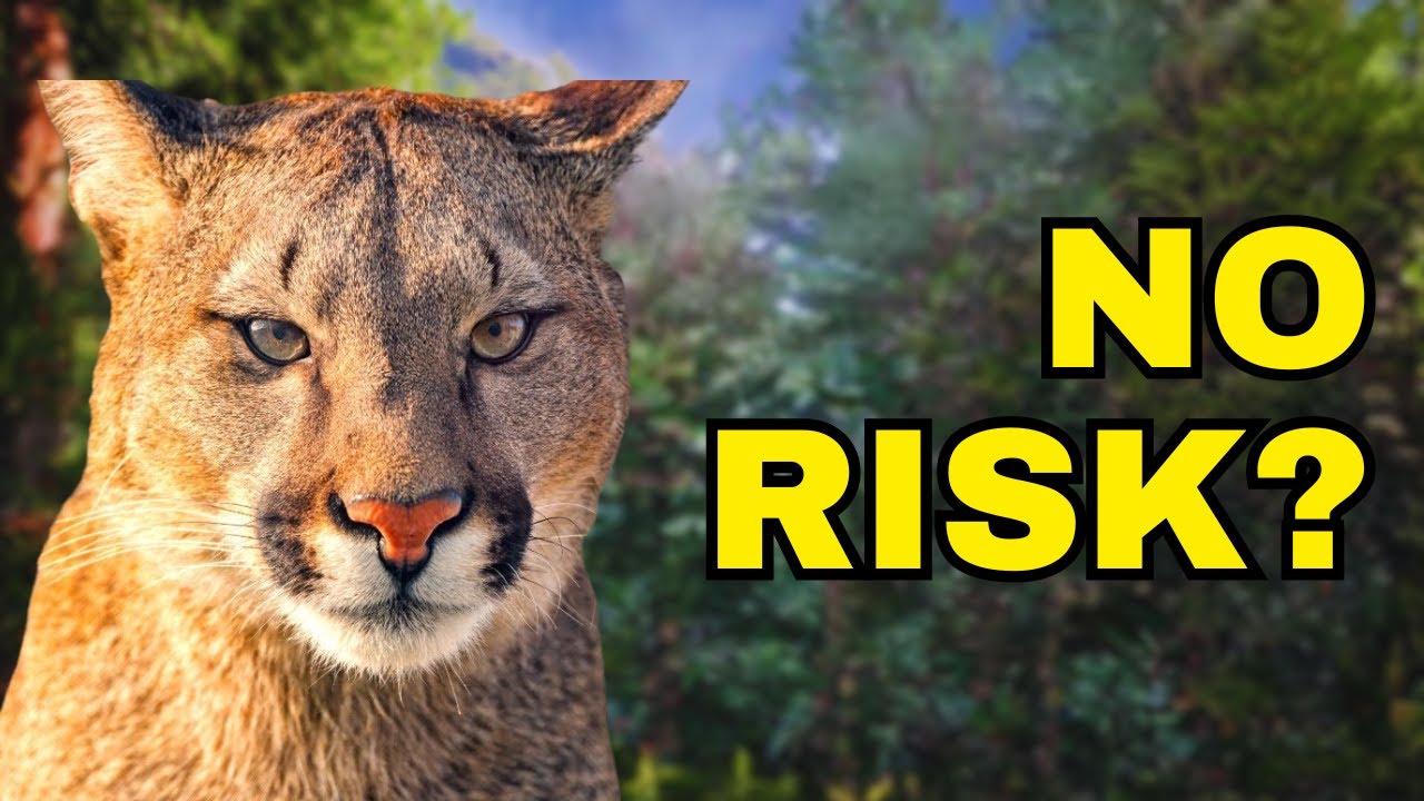 3 Creatures Less Dangerous Than Popular Belief Suggests! - YouTube