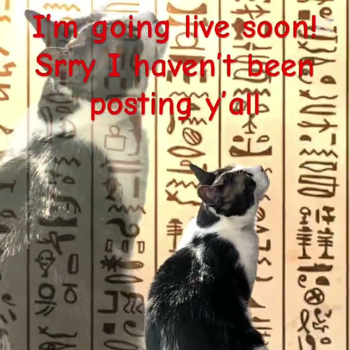 Going live soon! - YouTube