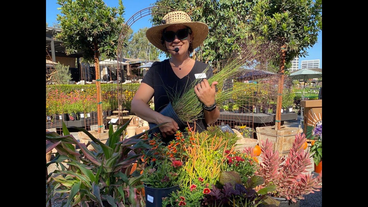 How to Add Fall Color to Your Existing Landscape with Sarah Smith - YouTube