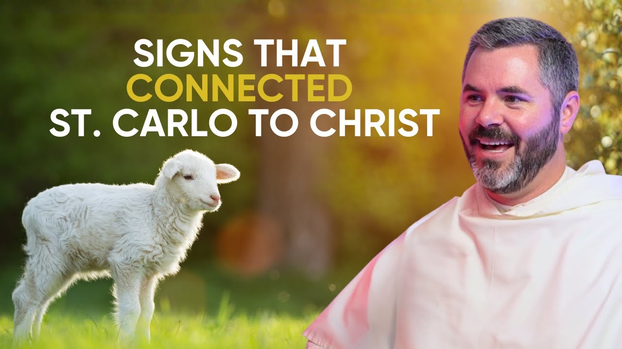 St. Carlo's Amazing WITNESS | Fr. Patrick Briscoe & Fr. Bonaventure ...