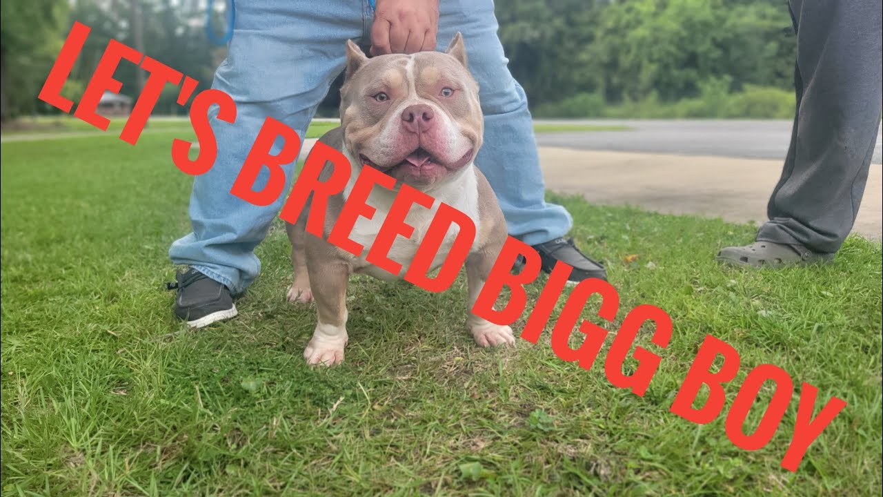 another breeding with bck pepsi life - YouTube
