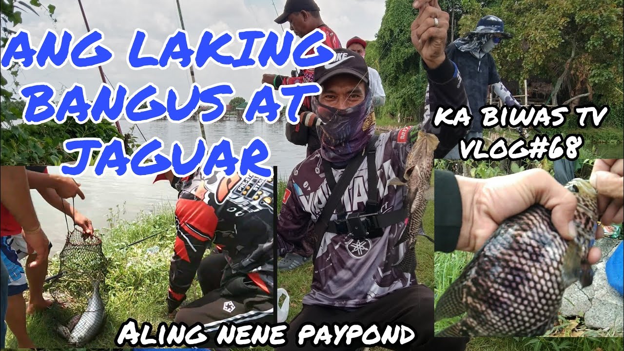 EP#01 ALING NENE FISHPOND W/NZ ANGLERS @KABIWASTV@vlog#68 - YouTube