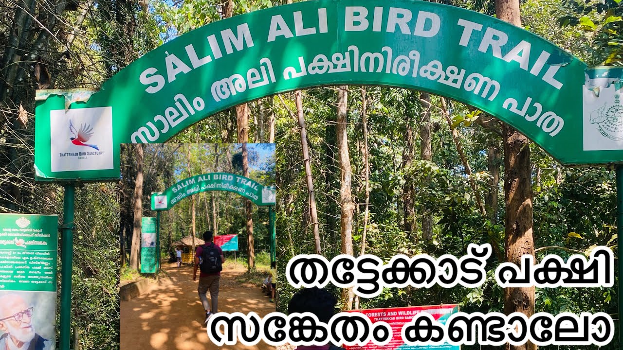 തട്ടേക്കാട് പക്ഷി സങ്കേത കേന്ദ്രം / Thattekkadu bird sanctuary ...