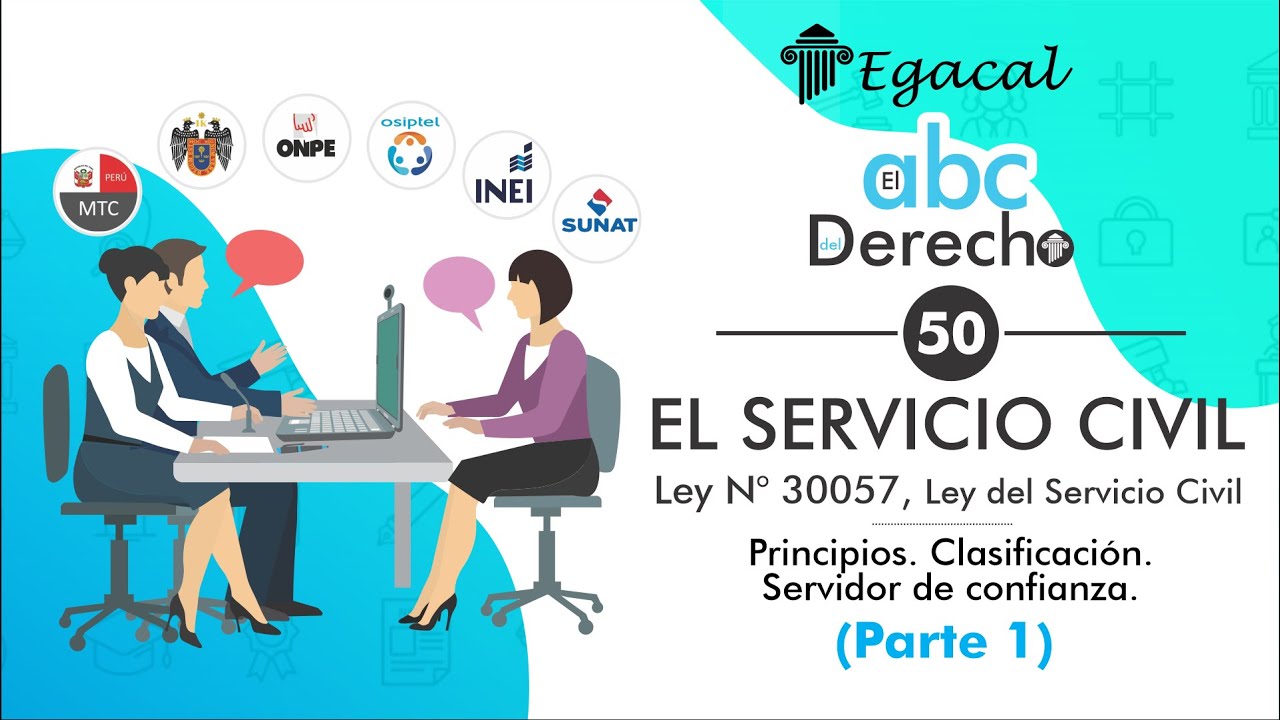 EL SERVICIO CIVIL (parte 1): Principios. Clasificación. Servidor de ...