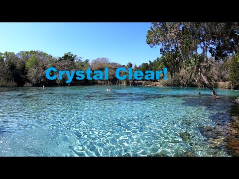 The CLEAREST spring water in Florida! - YouTube