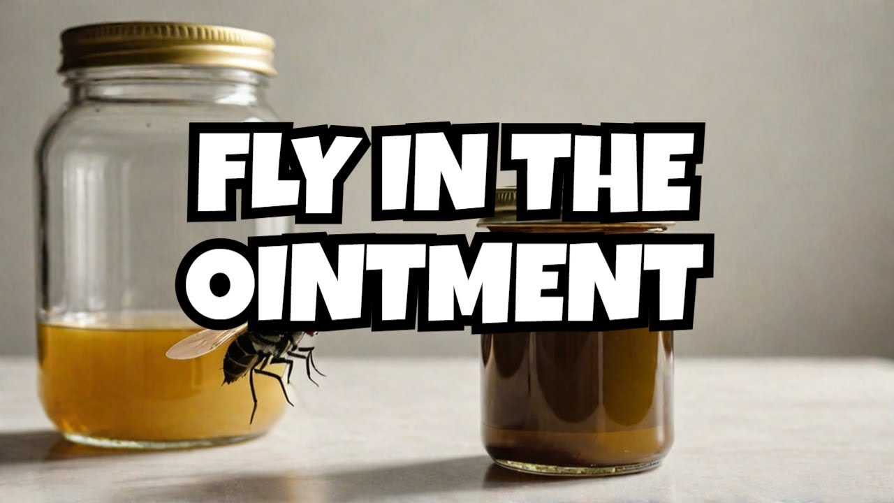 English Idiom Fly In The Ointment Origin Meaning And Examples english-idiom-fly-in-the-ointment-origin-meaning-and-examples