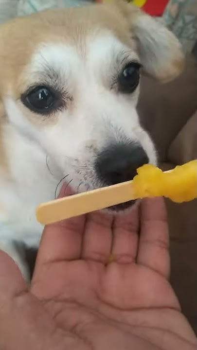 a boy le gusta el helado - YouTube