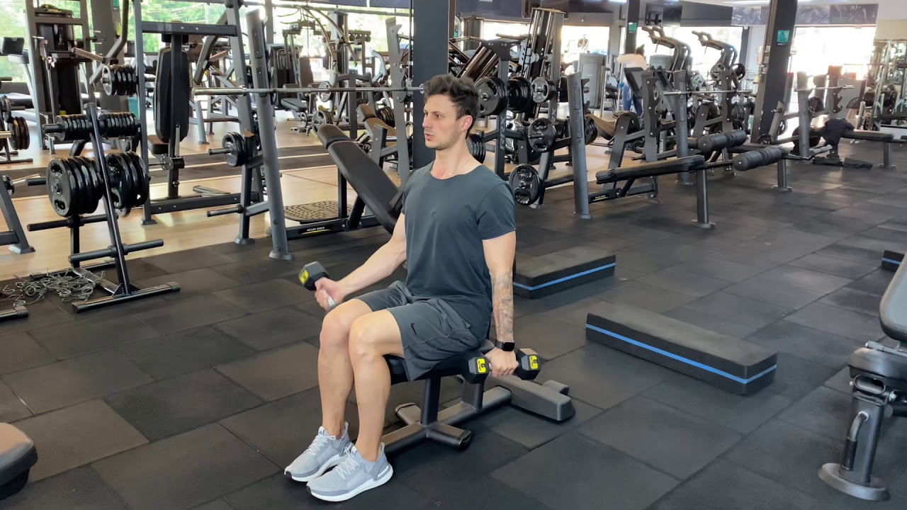 Rosca alternada sentado - YouTube