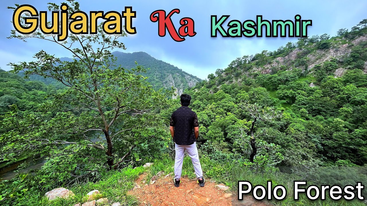 Polo forest | 1 day picnic | hiking best place to visit in monsoon ...