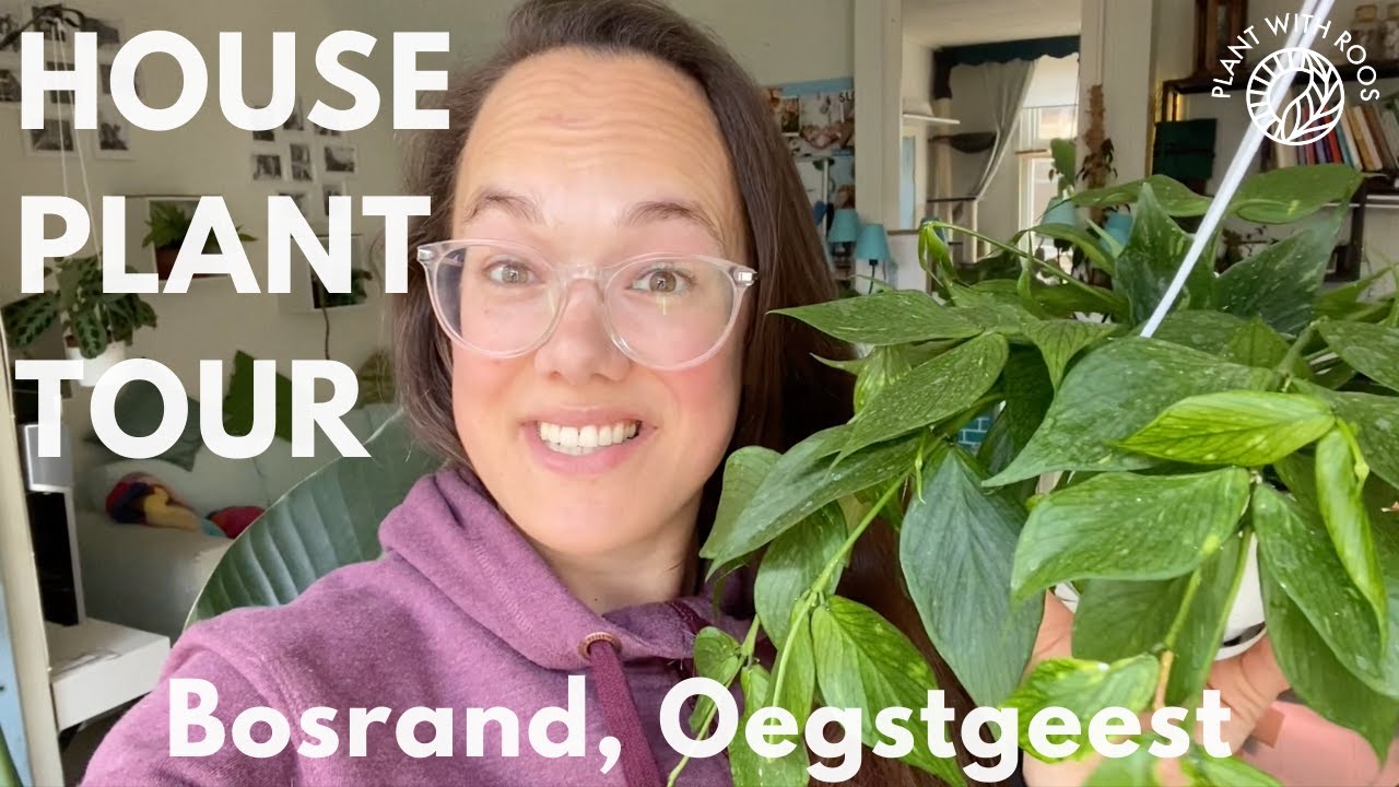 House Plant Tour and Haul - Bosrand Oegstgeest | Plant with Roos - YouTube