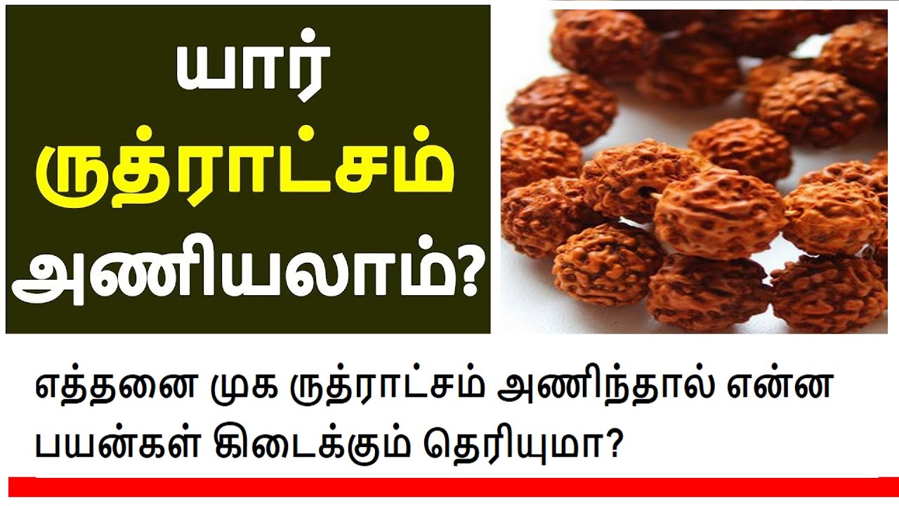 ருத்ராட்ச முகங்களும் அதன் பயன்களும் | Rudraksham | Ruthratcham # ...