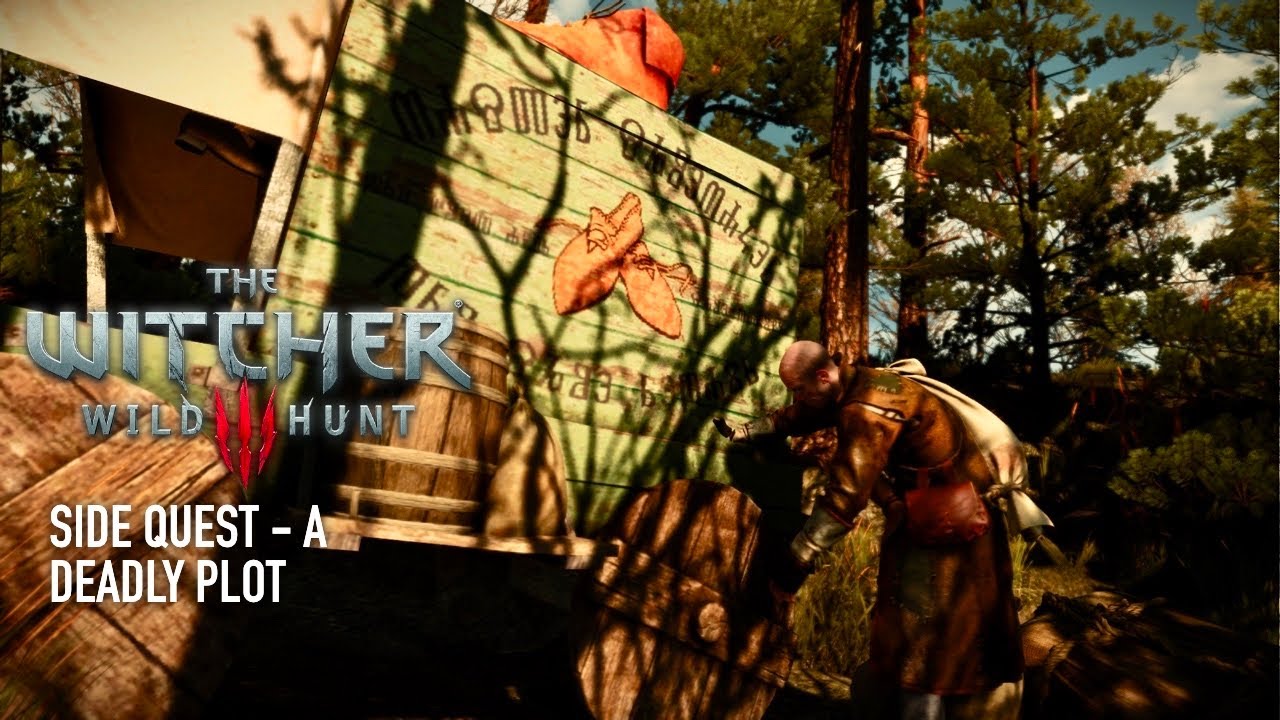 The Witcher 3: Wild Hunt - A Deadly Plot - Side Quest - YouTube