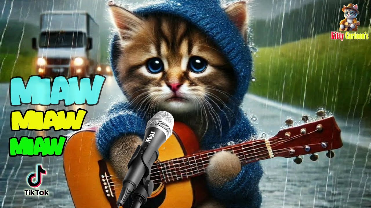KUCING NYANYI LAGU SEDIH MIAW MIAW MIAW VIRAL TIKTOK - YouTube