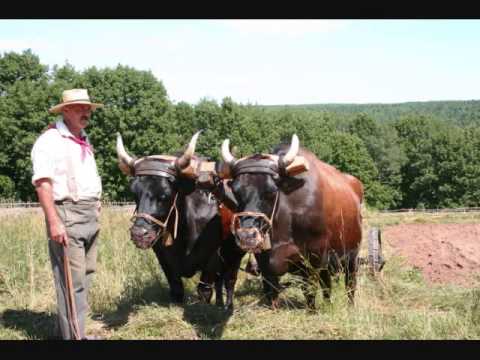 Ross Farm Museum Hands-on Promo - YouTube