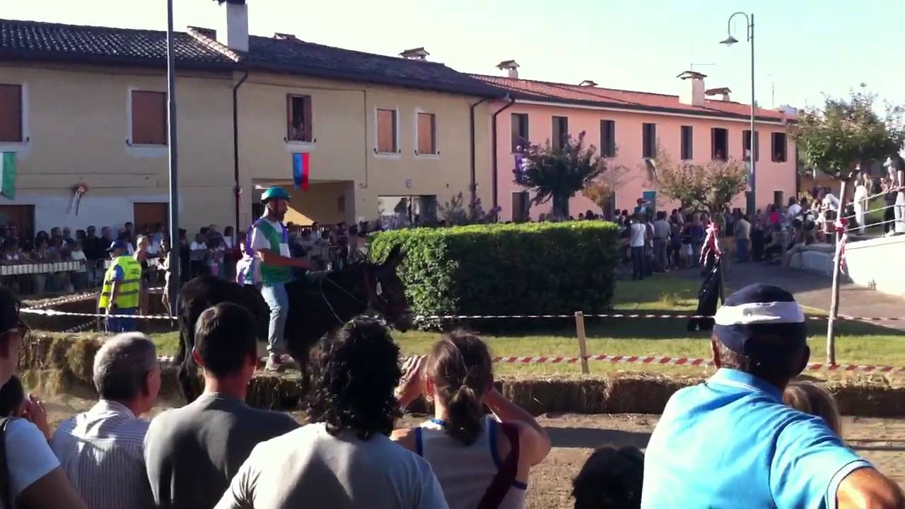 Galleriano - Corse dai Mùs 28/08/2011 - YouTube