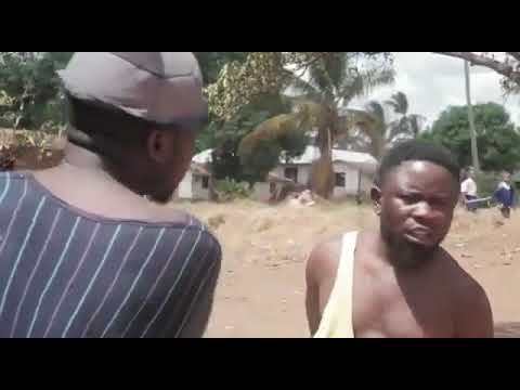 Kudevera na ,mbera wampandisha kamevunda juu ya mnazi kijijini