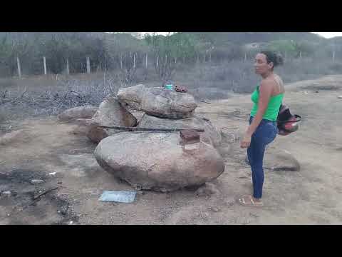 Mostrando um pouco do sítio da casa no sítio 