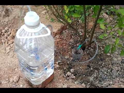 Siphon and Drip Irrigation System - Simple but Effective (SbE) - YouTube