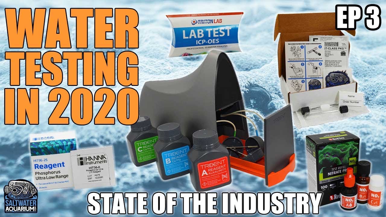 TESTING Saltwater Parameters in Your Reef Tank - 2020 State of the ...