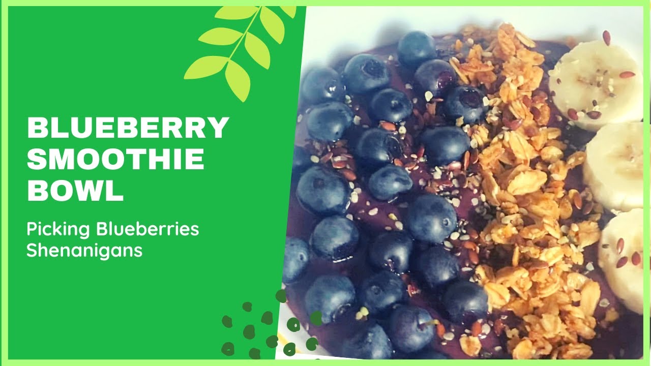 Blueberry Smoothie Bowl l Picking Blueberries | Filipino American ...