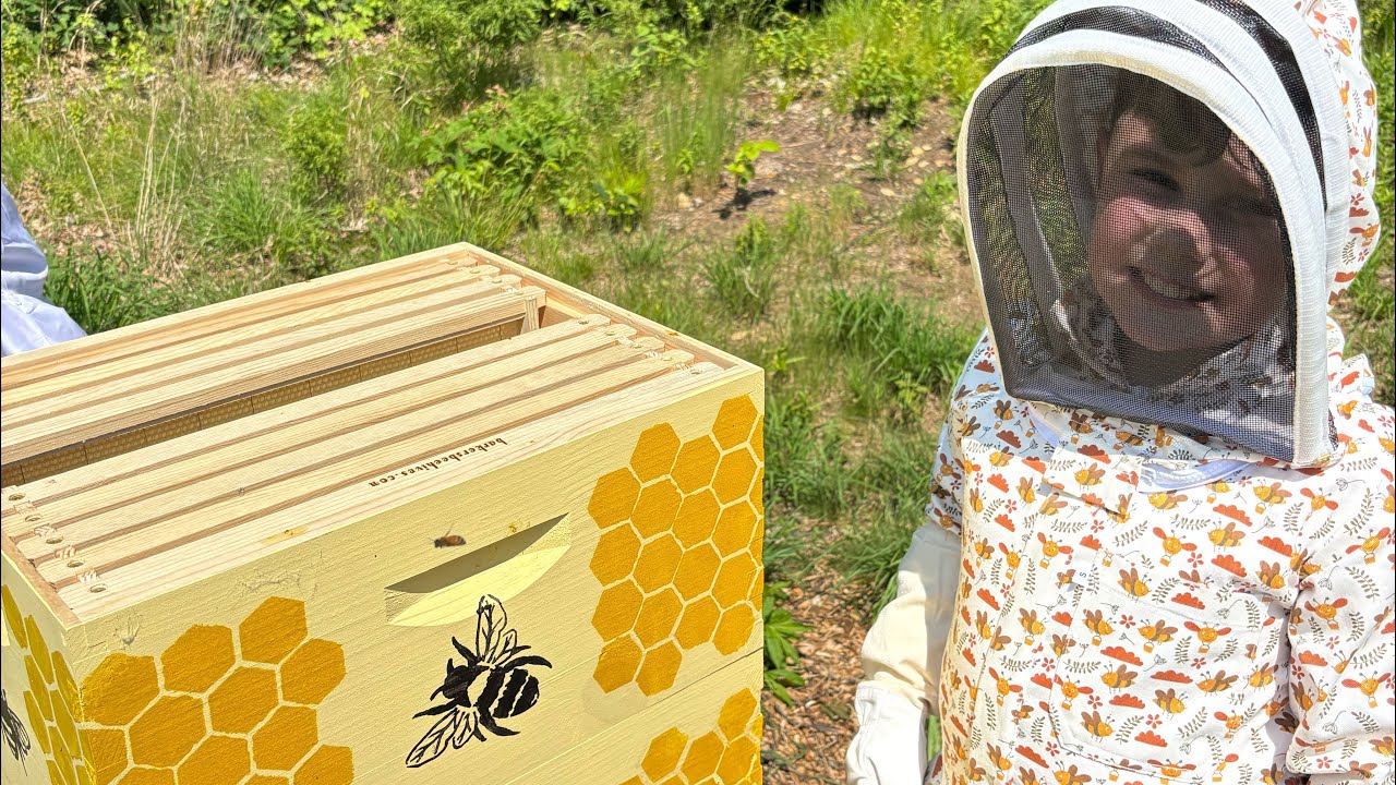 Beekeeping - YouTube