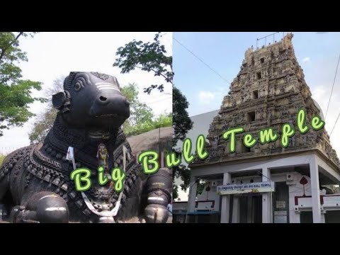 FAMOUS BULL TEMPLE IN BANGALORE /Basavana Gudi History // World biggest ...