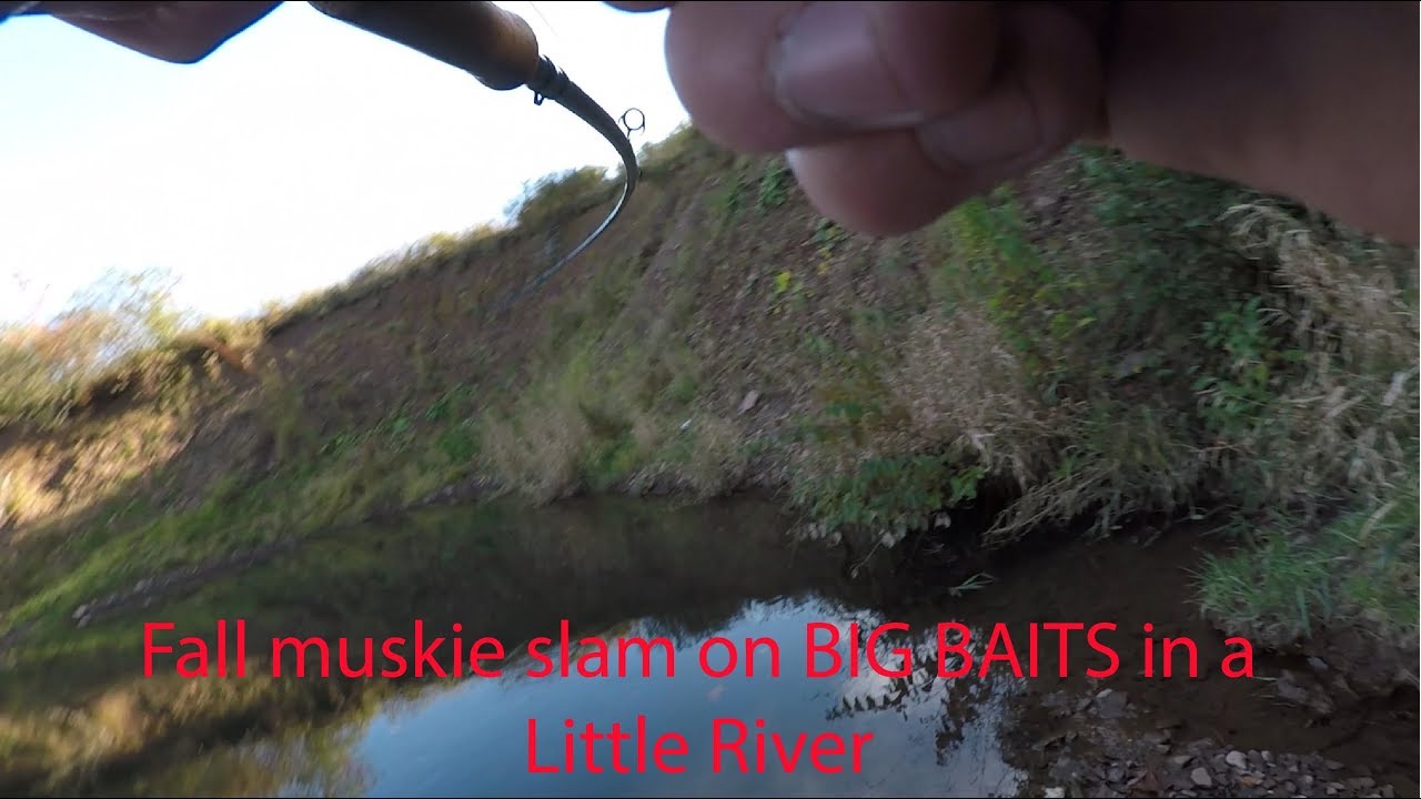 Fall Musky Slam on BIG BAITS in a LITTLE River(Part1) - YouTube