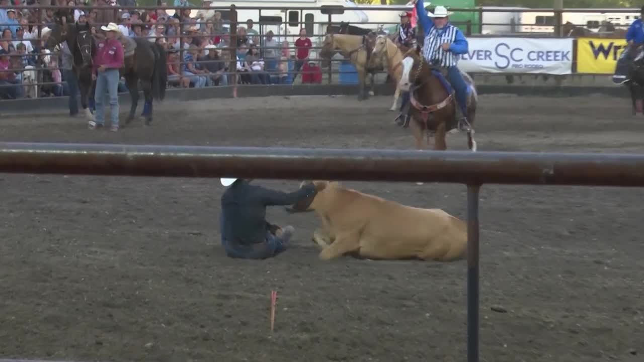 HIGLIGHTS & RESULTS: Livingston Roundup Rodeo - YouTube