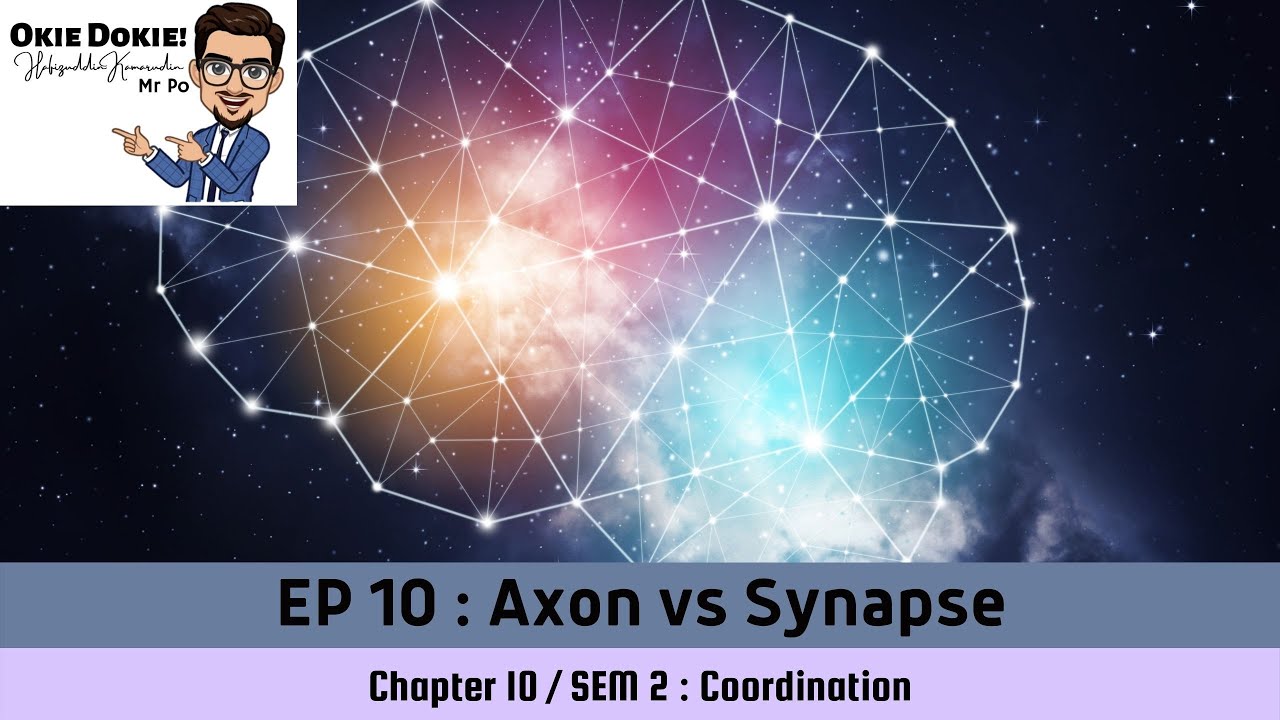 Chapter 10 EP 10 / Sem 2 : Axon Vs Synapse (Matriculation Biology ...