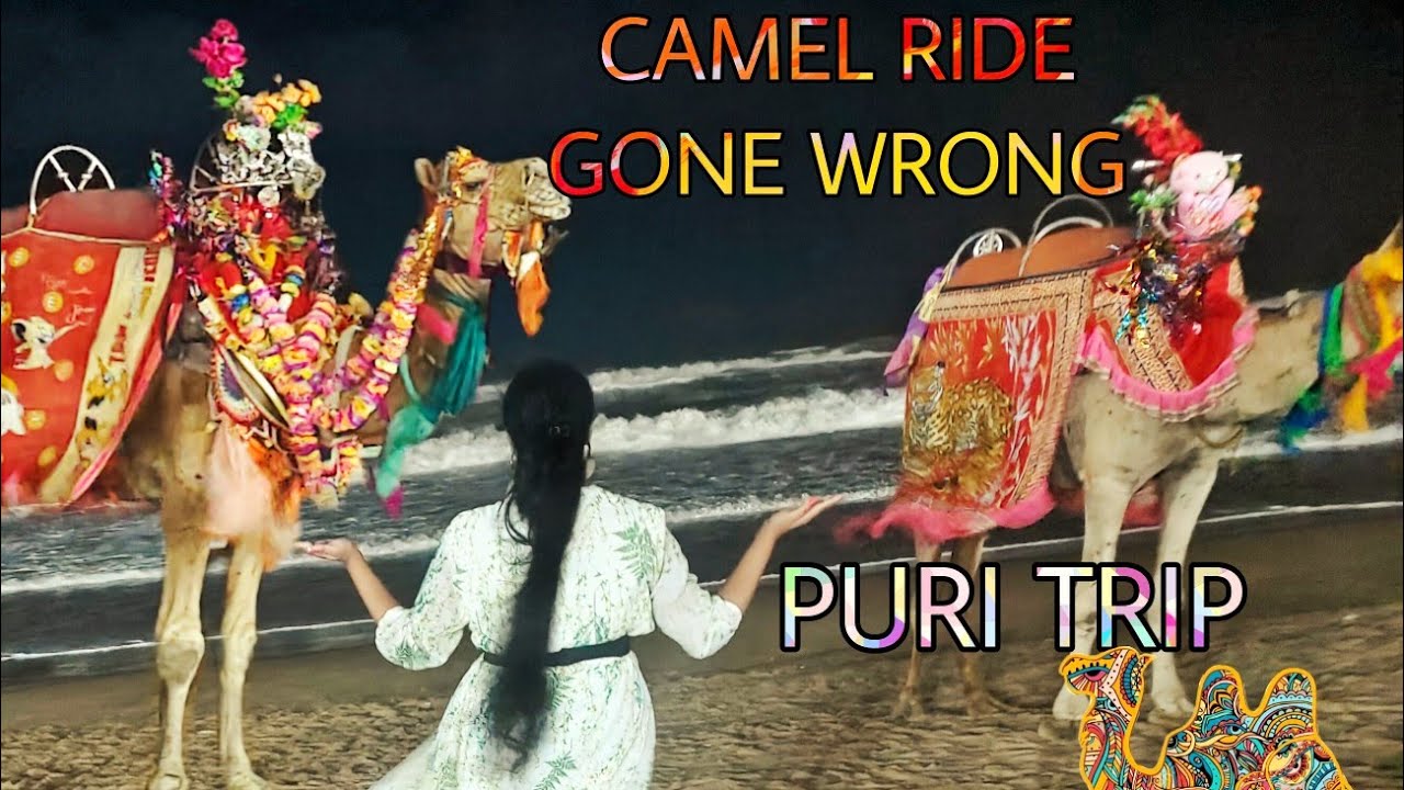 Camel Ride Experience Gone Wrong|Horrible And Funny Camel Ride At Puri ...
