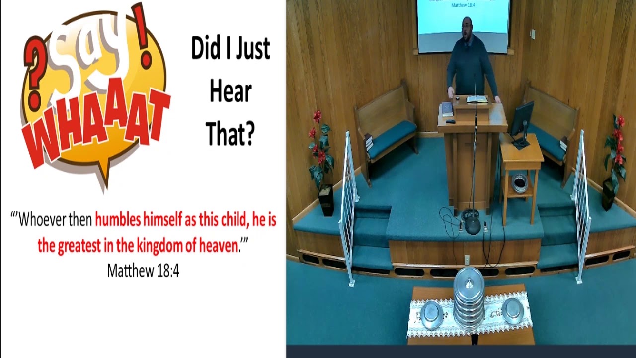 Did I just hear that ? - YouTube