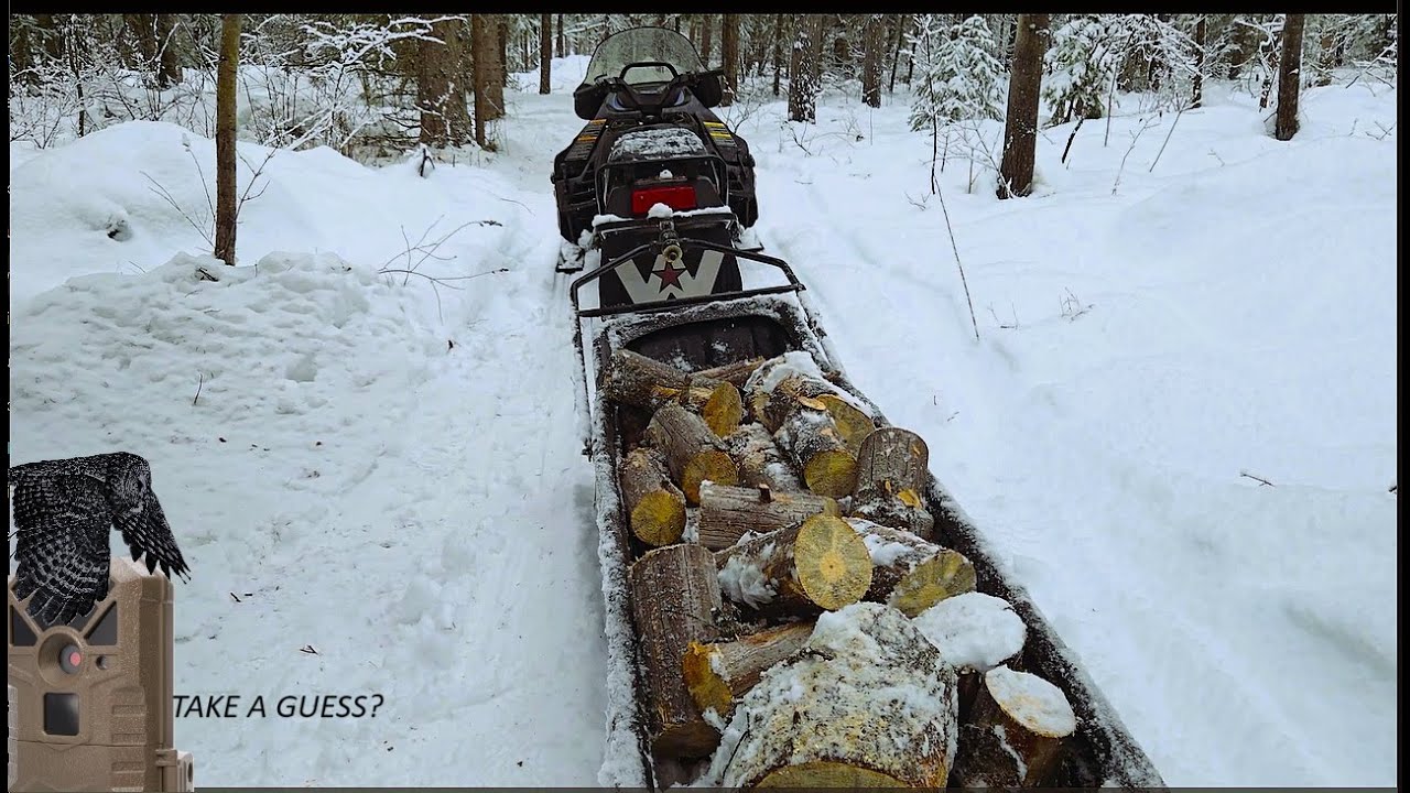 Snowmobile trails hauling firewood 90s Artic Cat amazing surprise trail ...