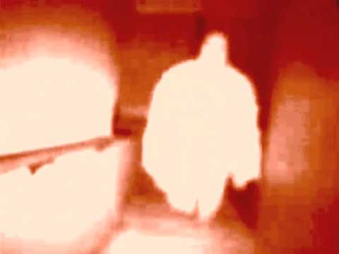 SHOCKING THERMAL INFRARED GHOSTLY APPARITION VIDEO EVIDENCE - YouTube