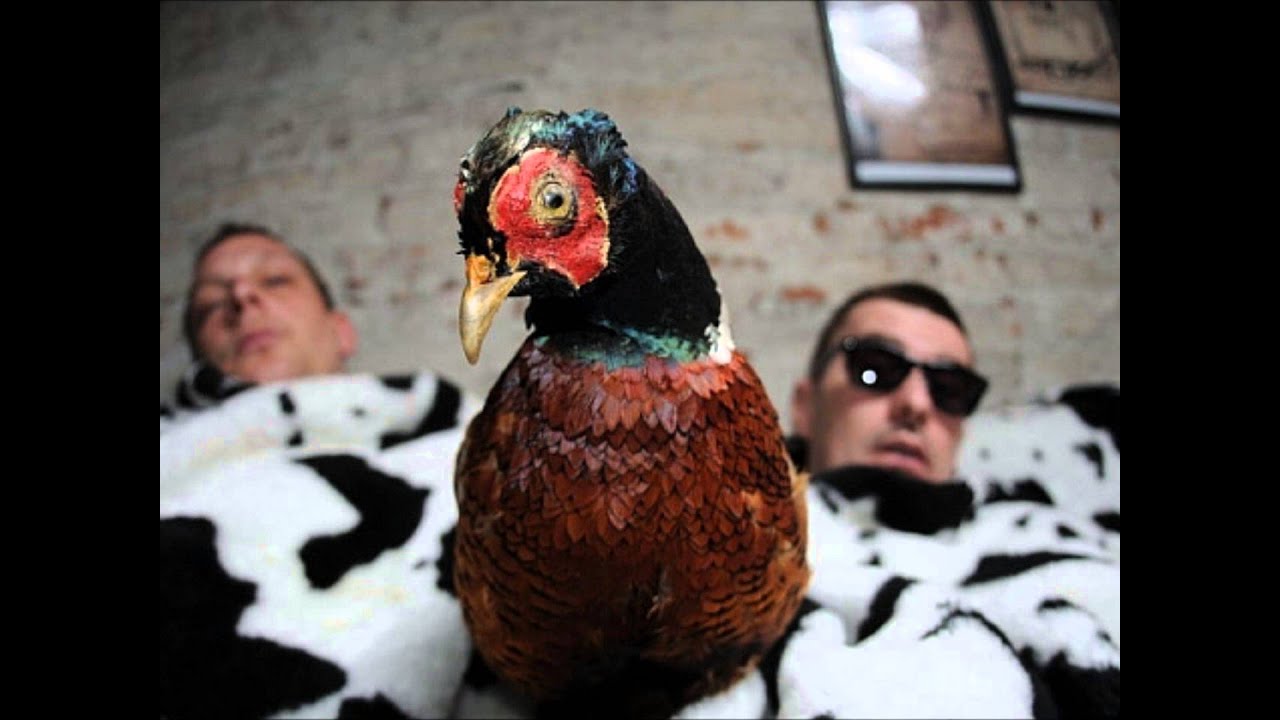 Bolesna Braca - Dno dna (2010) - YouTube