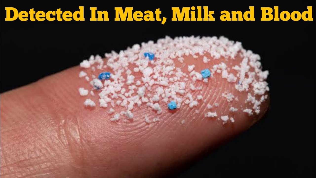 Scientists Detected Microplastic In Meat, Milk and Blood Of Farm ...