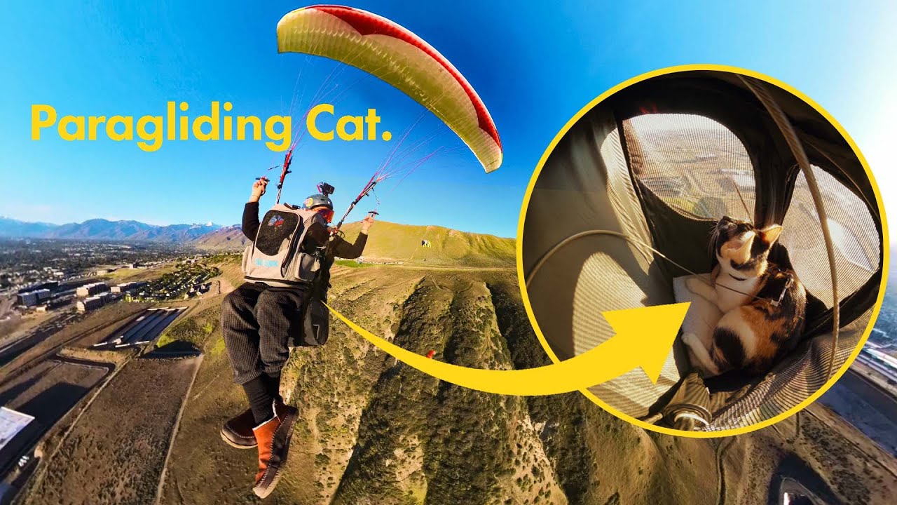 PARAGLIDING with my CAT Pt. 1 - YouTube