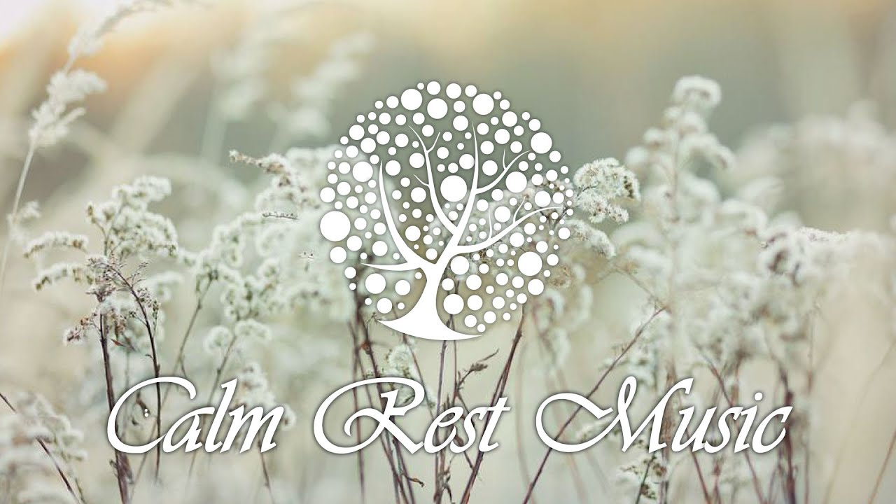 3 Hours of Calming and Relaxing Music for a Calm Rest | Calm Rest Music ...