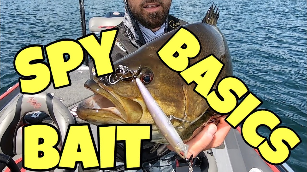 SPY BAIT BASICS - YouTube