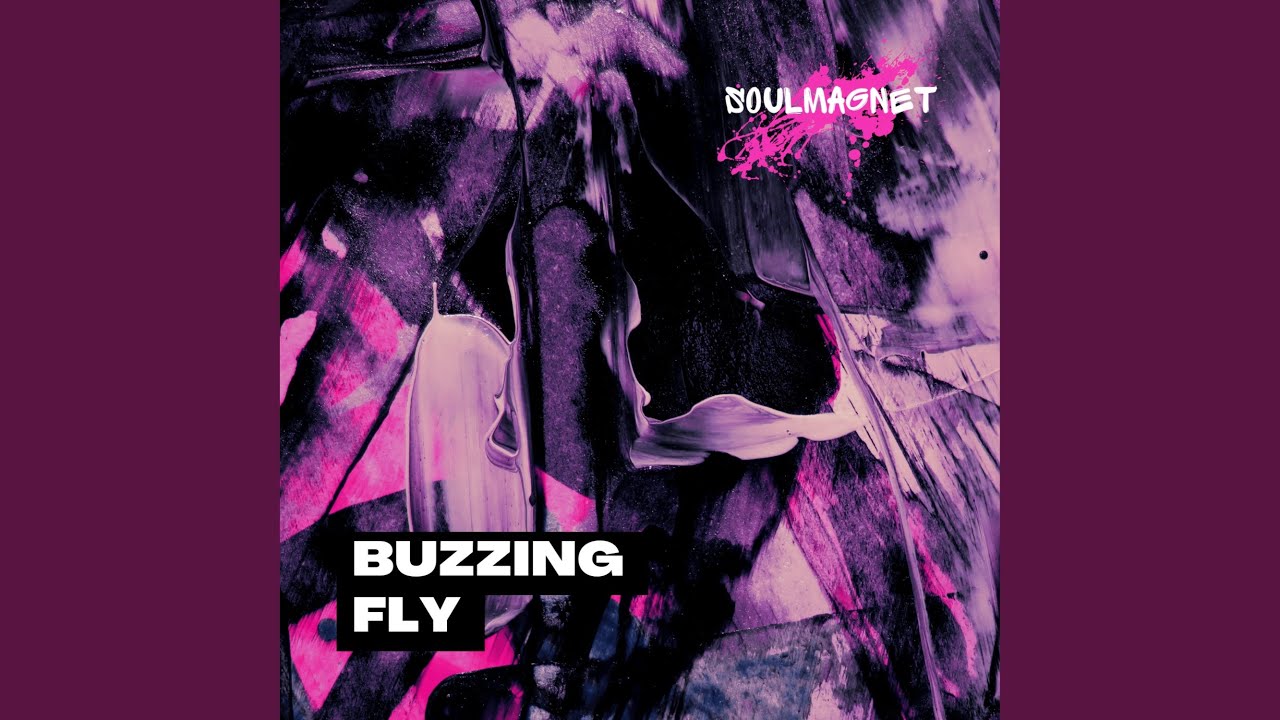 Buzzing Fly - YouTube