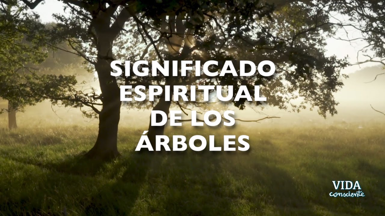 🌳 SIGNIFICADO ESPIRITUAL DE LOS ÁRBOLES 🌲 Conecta con su magia #arboles ...